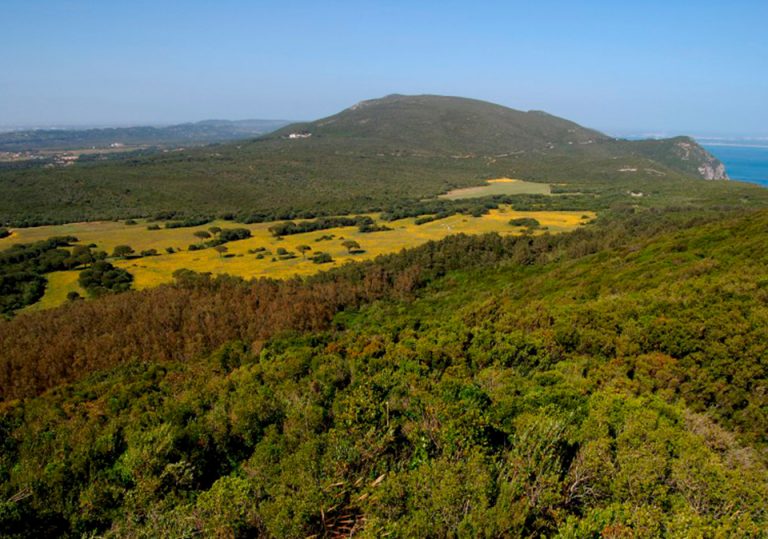 Trilho da Serra do Risco e Marmitas de Gigante - Como ir, no Parque ...